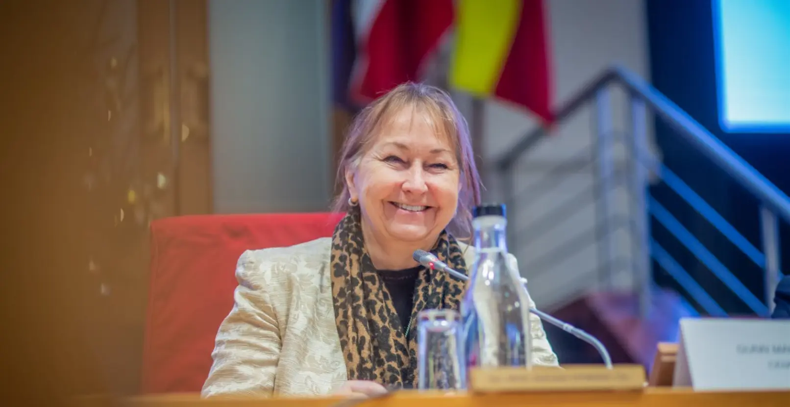 Who we are - CEMR CCRE